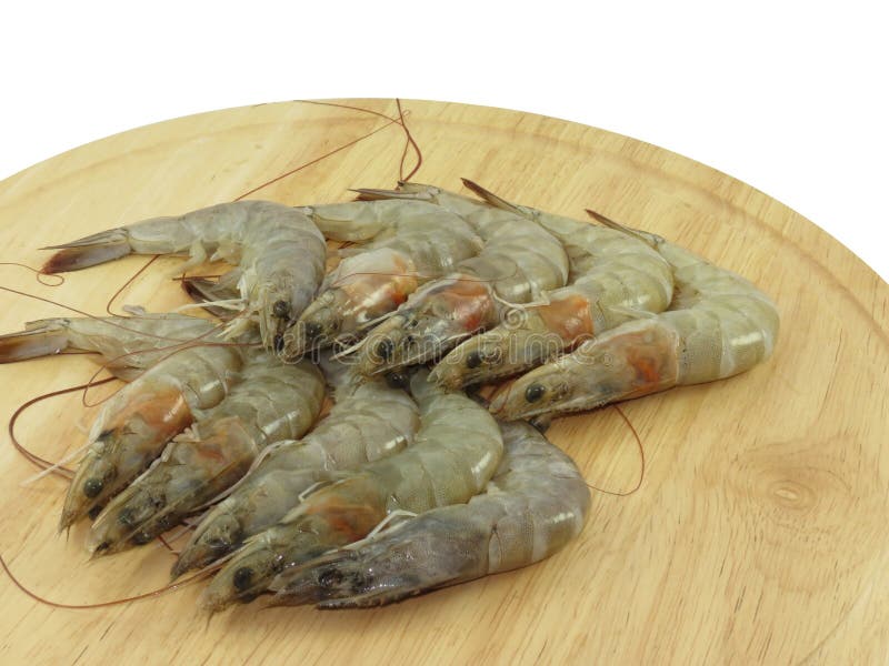 Rubiyan Shrimps Prawns Stock Photos - Free & Royalty-Free Stock Photos ...