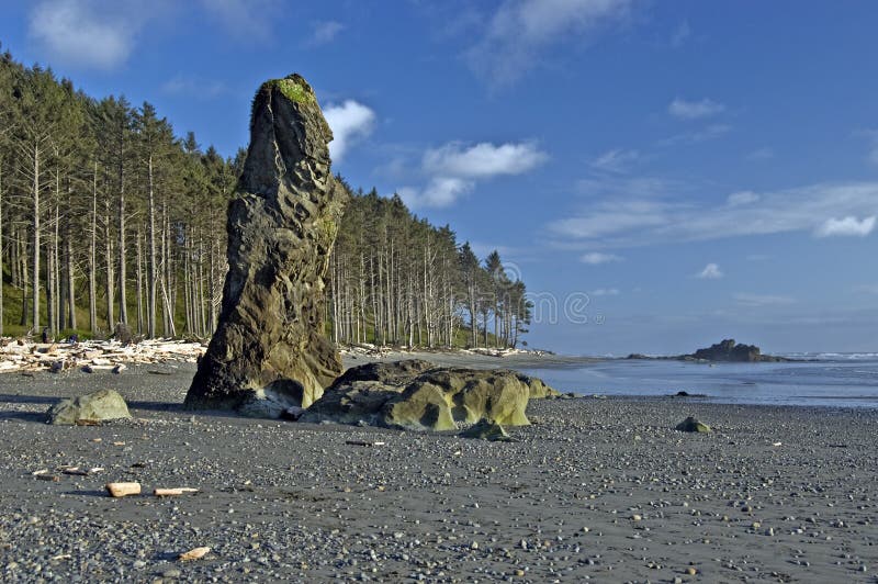 Ruby Beach stock image. Image of ruby, national, rock - 20308297