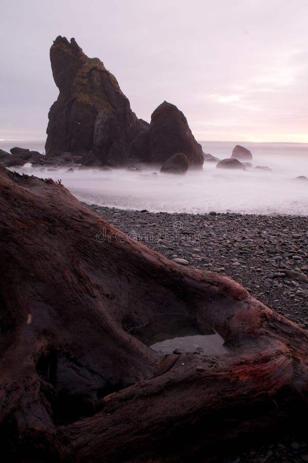 Ruby Beach stock image. Image of outdoor, stack, national - 8245289