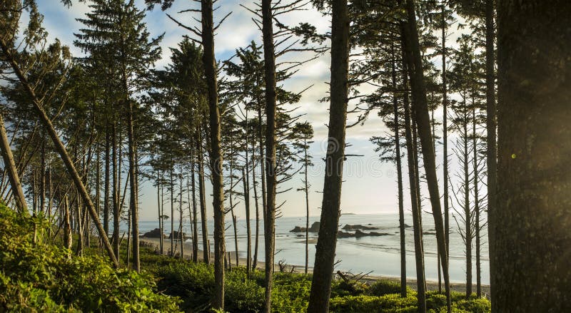 Ruby Beach Landscape stock image. Image of beach, washington - 31907753