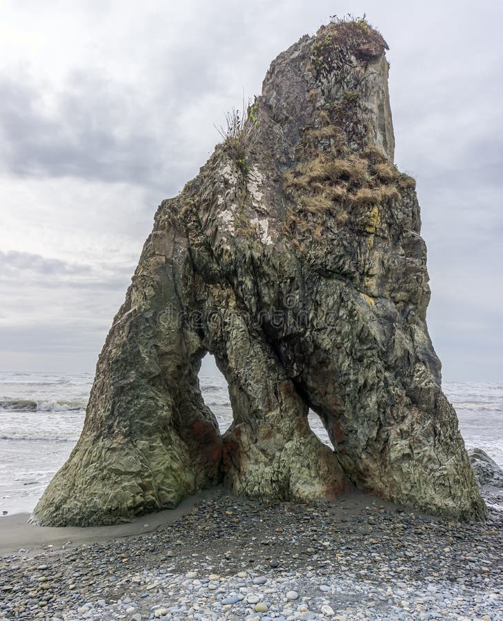 Ruby Beach Monolith Close-up 2 Stock Photo - Image of state, texture ...