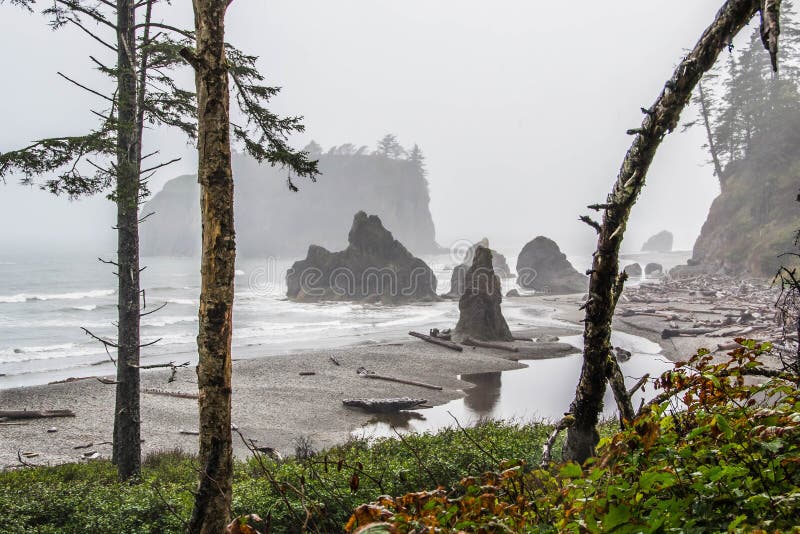 Ruby Beach stock photo. Image of park, state, notable - 93752968