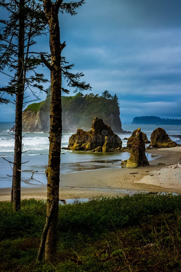 Ruby Beach, Olympic National Park, WA Stock Image - Image of coast ...