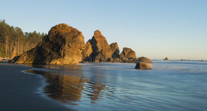 Ruby Beach, Olympic Peninsula. Stock Image - Image of summer, trees ...