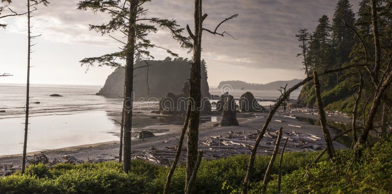 Ruby Beach Panoramic foto de archivo. Imagen de noroeste - 31907772