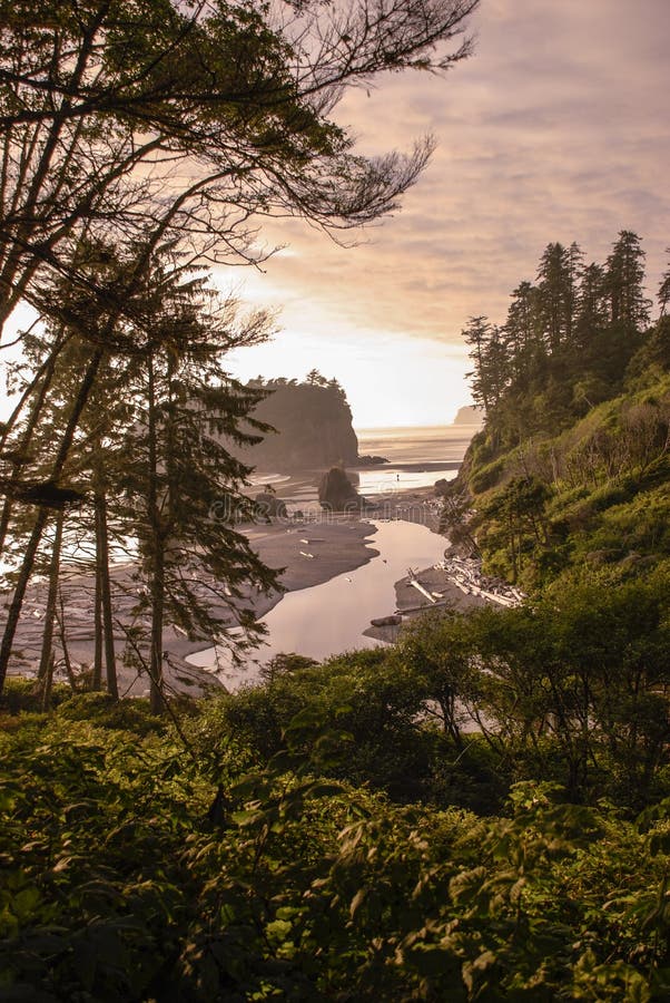 188 Beach Portrait Orientation Stock Photos - Free & Royalty-Free Stock ...