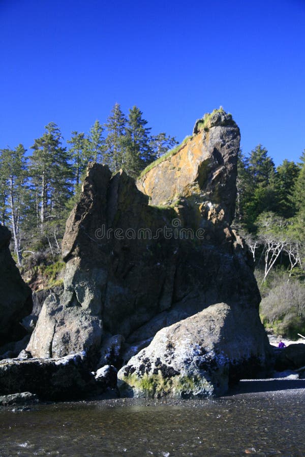 Ruby Beach Rock Formation Late Afternoon Washington Stock Image - Image ...