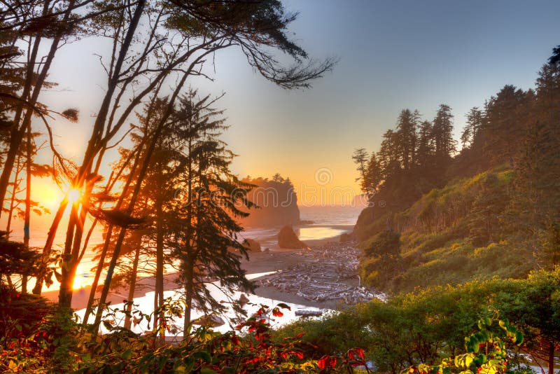 Ruby Beach stock image. Image of state, formation, washington - 16314263