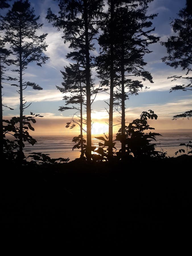 Ruby Beach Sunsets stock photo. Image of sunsets, beach - 206815014