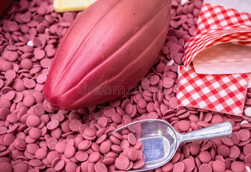 Ruby Chocolate Cocoa Fruit Against the Background of Ruby Chocolate ...