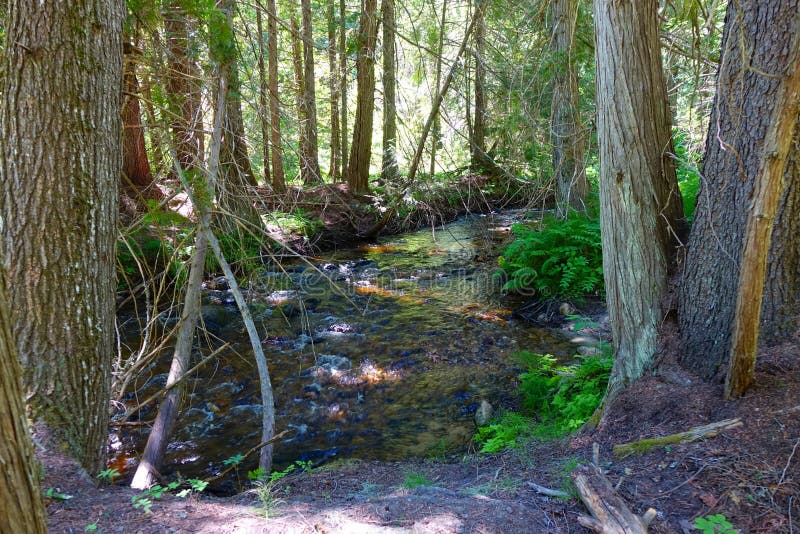 Ruby Creek - Washington stock image. Image of washington - 95867467
