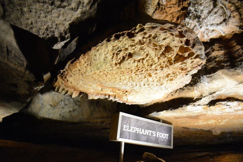 Ruby Falls cave editorial image. Image of miracle, elephant - 275772795