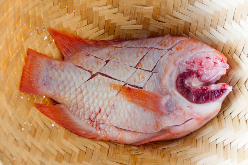 Ruby fish prepared stock image. Image of spicy, closeup - 85318721