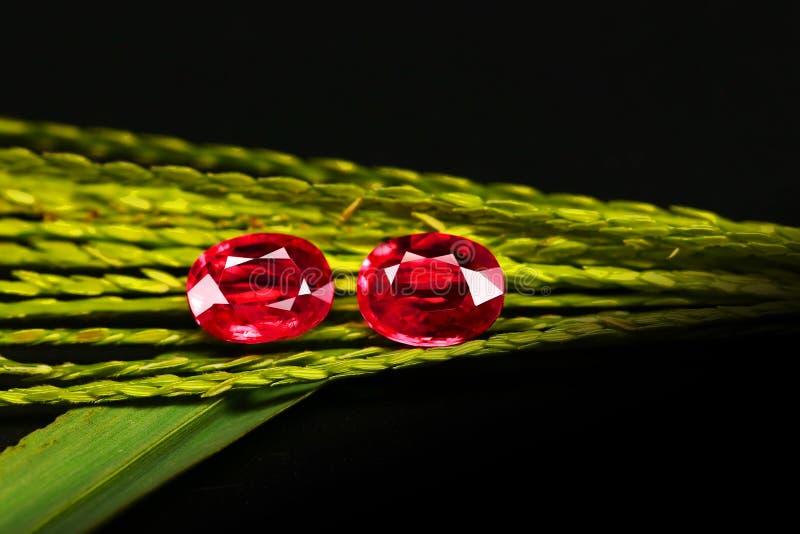 Ruby Gemstone Beauty Shot Gemstone Natural Stock Photo - Image of ...