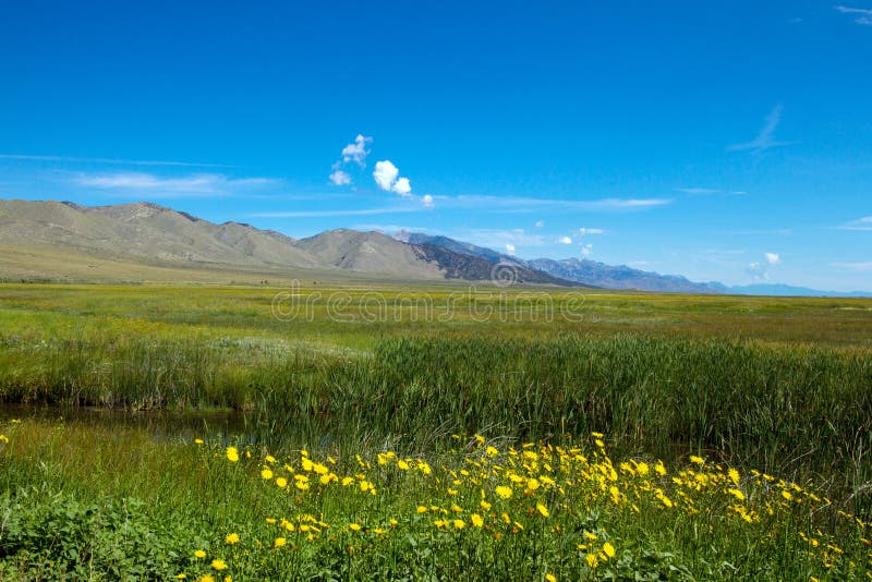 Ruby Lake National Wildlife Refuge Stock Photo - Image of colorado ...