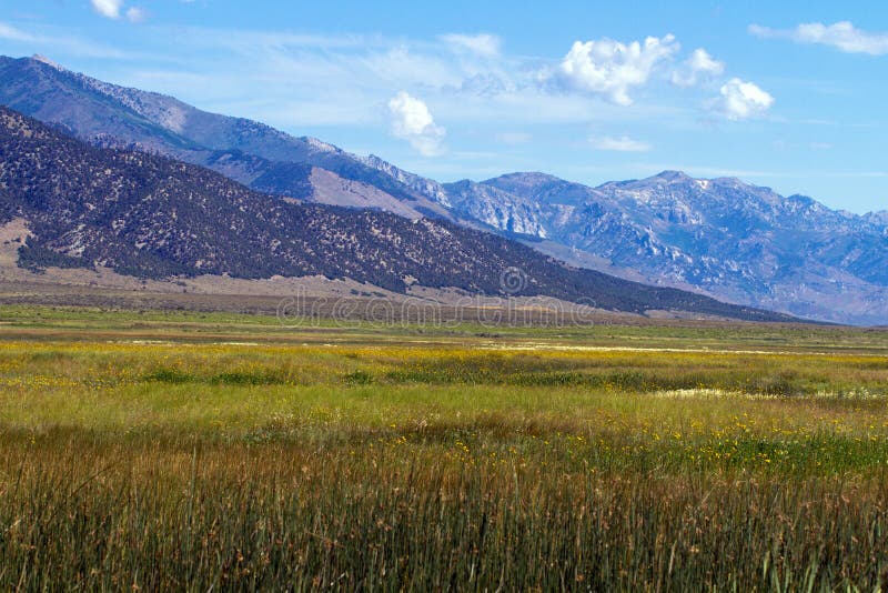 Ruby Lake National Wildlife Refuge Stock Image - Image of mountains ...