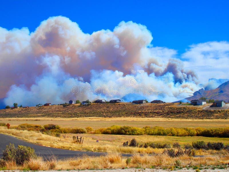 866 Wildland Fire Simulation Stock Photos - Free & Royalty-Free Stock ...