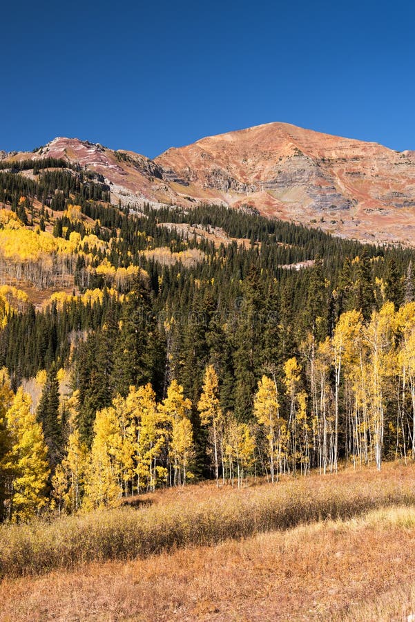 Ruby Range in the Autumn, Viewed from Kebler Pass Road. Stock Image ...