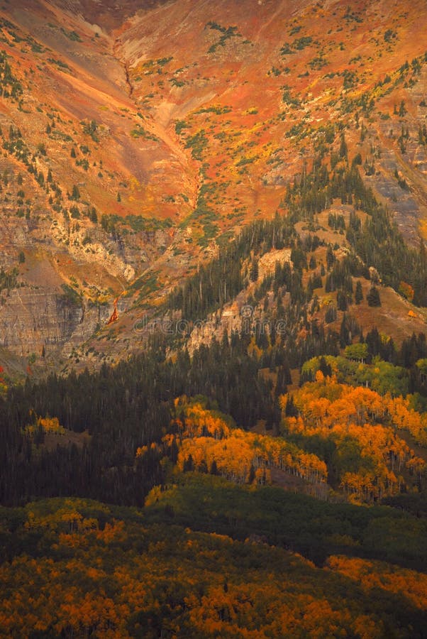Ruby Range stock image. Image of natural, details, ecosystem - 6593081
