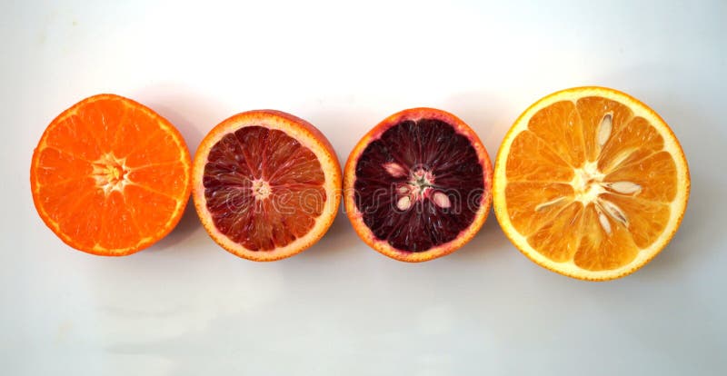 Ruby Red Blood Oranges, Navel Oranges, and Clementines Cut in Half ...