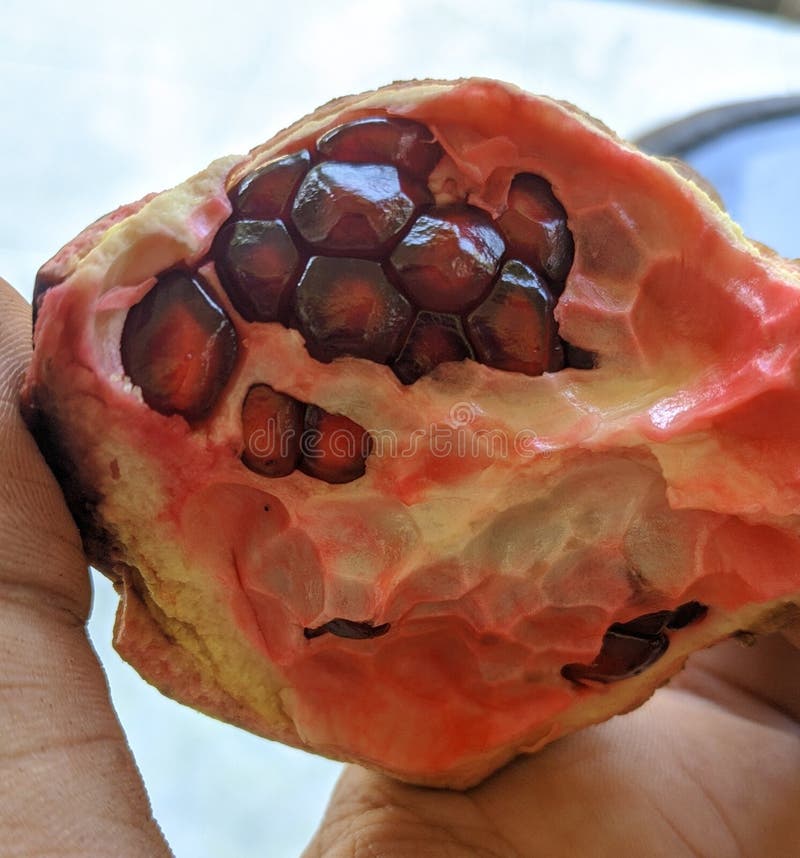 Ruby Red Fruit from Home Garden Stock Photo - Image of ripe, fruit ...