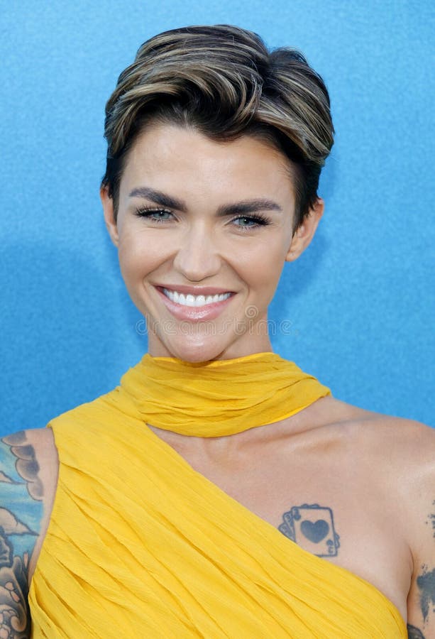 44+ Ruby rose Free Stock Photos - StockFreeImages