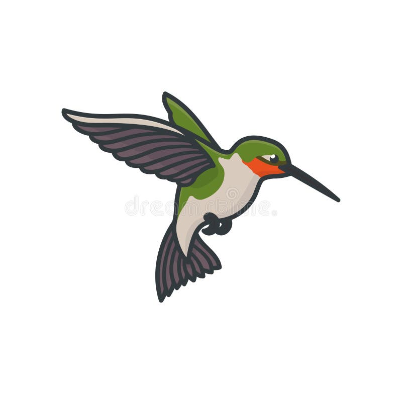 Ruby Throated Hummingbird, Vintage Illustration Stock Vector ...