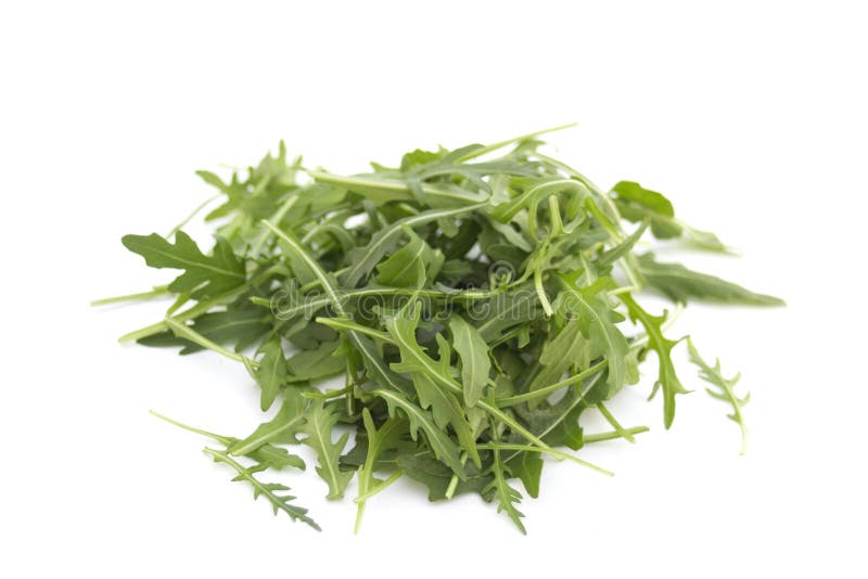 Ruccola isolated on white stock photo. Image of heap - 18269520