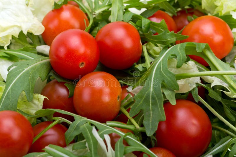Ruccola Leaves and Cherry Tomatoes Stock Image - Image of cherry ...