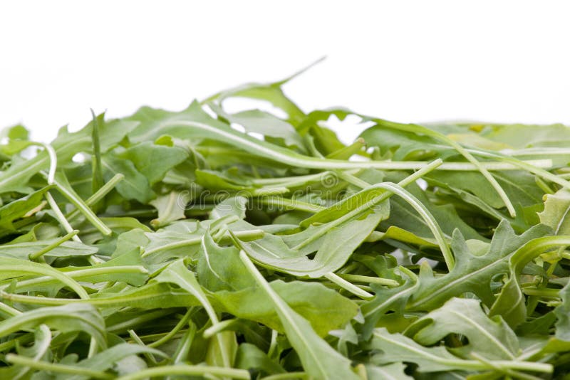 Ruccola Salad Fresh Heap Leaf Stock Photo - Image of horizontal ...