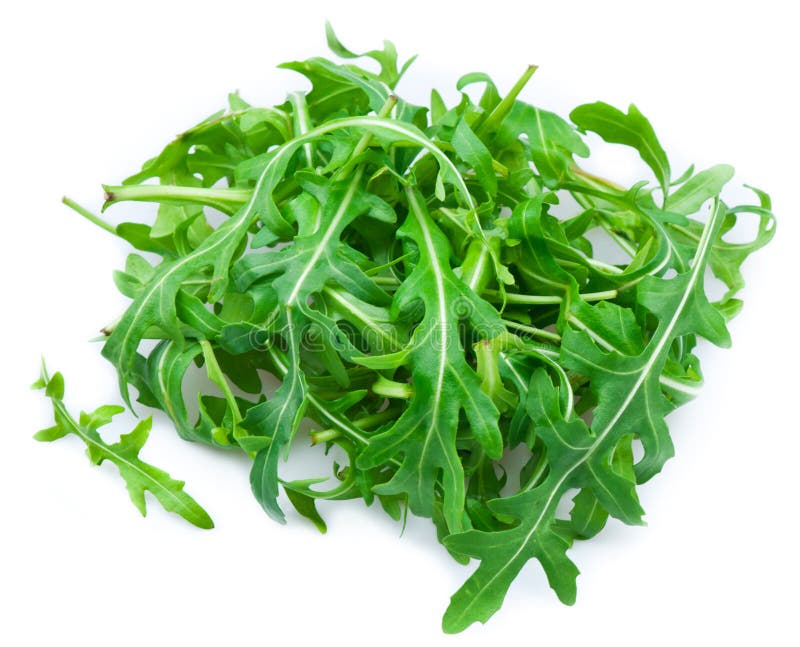 Rucola stock photo. Image of horizontal, vegetable, white - 22915916