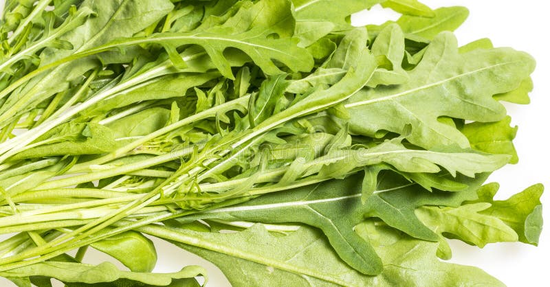 Rucola photo stock. Image du jardin, organique, ingrédient - 71170126