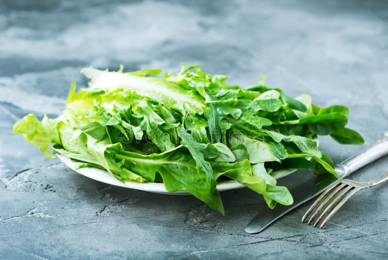 Rucola foto de stock. Imagem de verde, orgânico, dedos - 92502836
