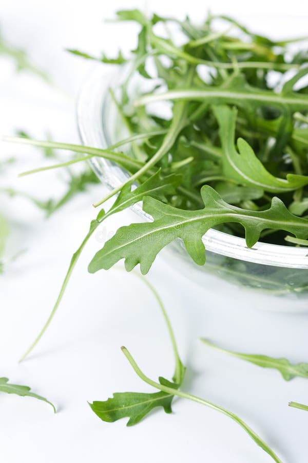 Rucola fresh salad stock image. Image of fresh, isolated - 18708561