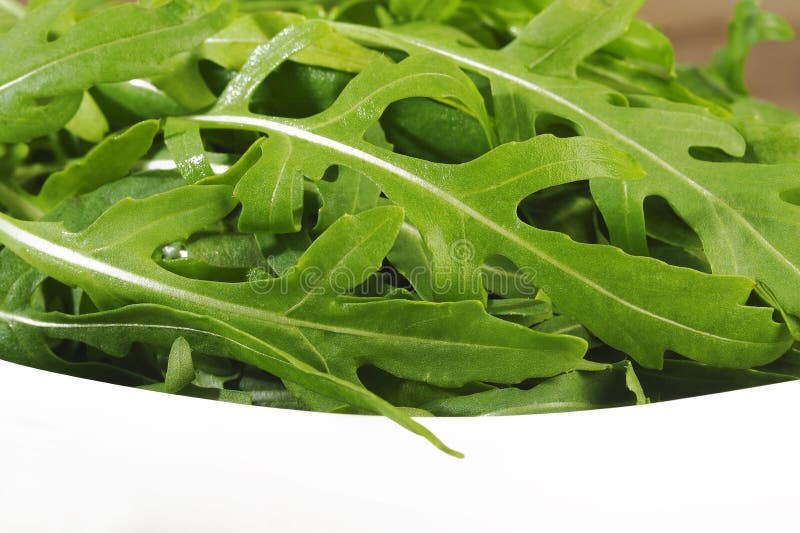 Rucola fresh salad stock photo. Image of healthy, ingredient - 45707182