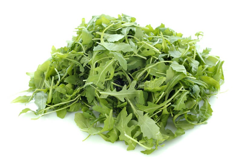 Rucola salad stock photo. Image of arugula, vegetarian - 28121260