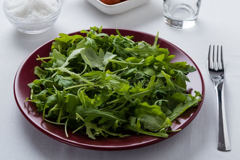 Rucola salad on red plate stock photo. Image of diet - 62405552