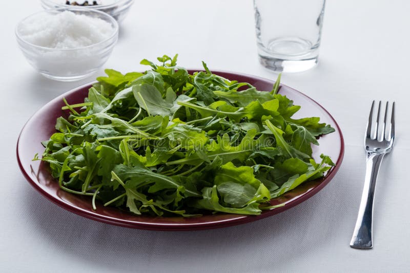 Rucola salad on red plate stock image. Image of rukola - 62405615