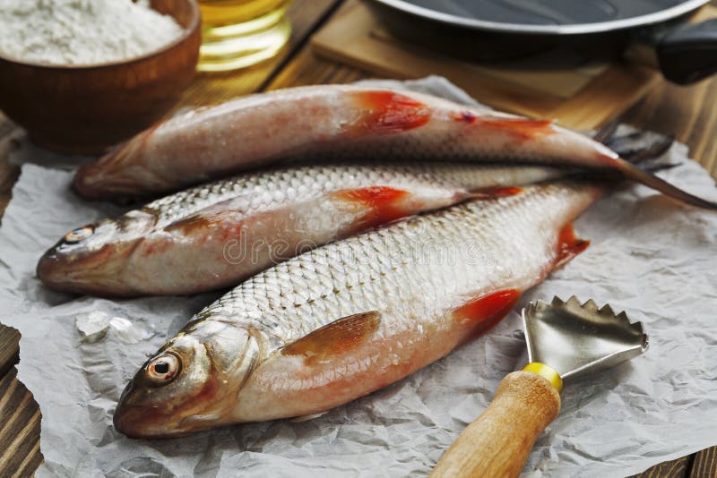 151 Ide Fish Catch Stock Photos - Free & Royalty-Free Stock Photos from ...