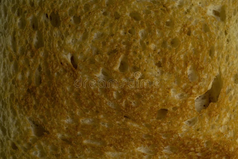 17,419 Toast Texture Stock Photos - Free & Royalty-Free Stock Photos ...