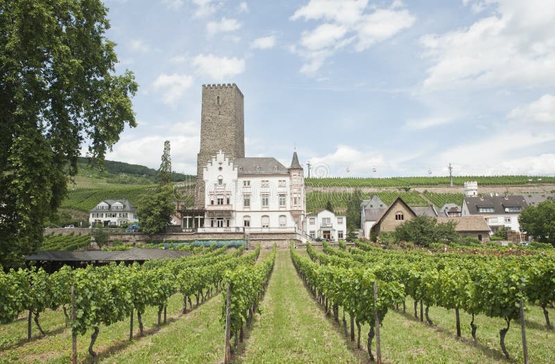 Rudesheim Castle with Beautiful Vineyard Scenery. Stock Image - Image ...