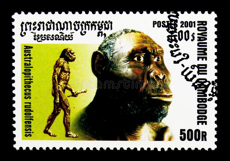 217 Australopithèques Photos libres de droits et gratuites de Dreamstime