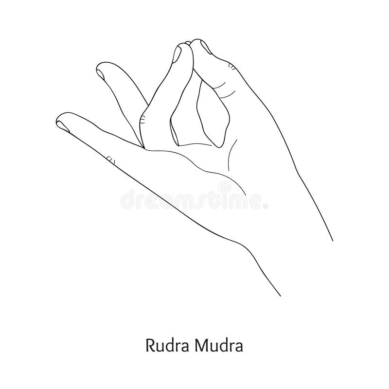Rudra Mudra / Gesture of Solar Plexus. Vector Stock Vector ...