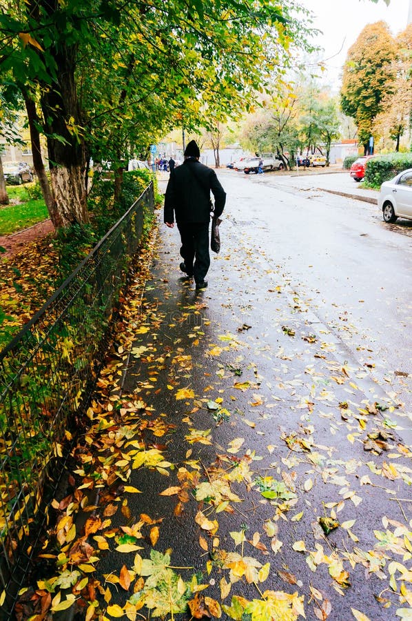 Feuille d'automne de ville image stock. Image du lame - 45949987