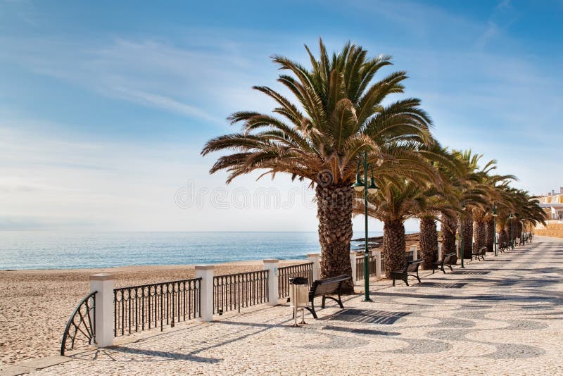 Rue sur la plage image stock. Image du nature, arbre - 22498751