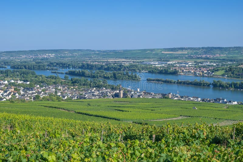 Ruedesheim, Le Rhin, Allemagne Image stock - Image du rheingau ...