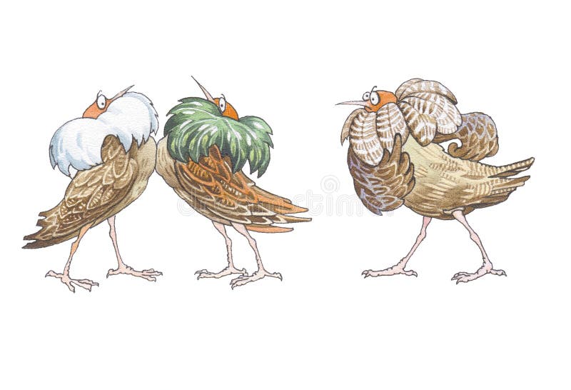 Ruff stock illustration. Illustration of single, drawing - 15640933