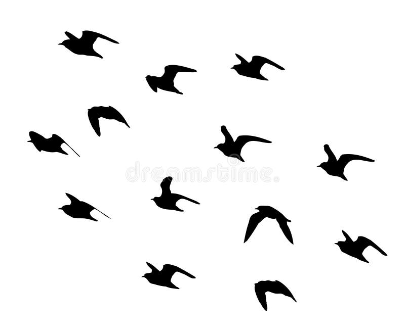 Ruff in the Flight Silhouettes in Vector Stock Vector - Illustration of ...