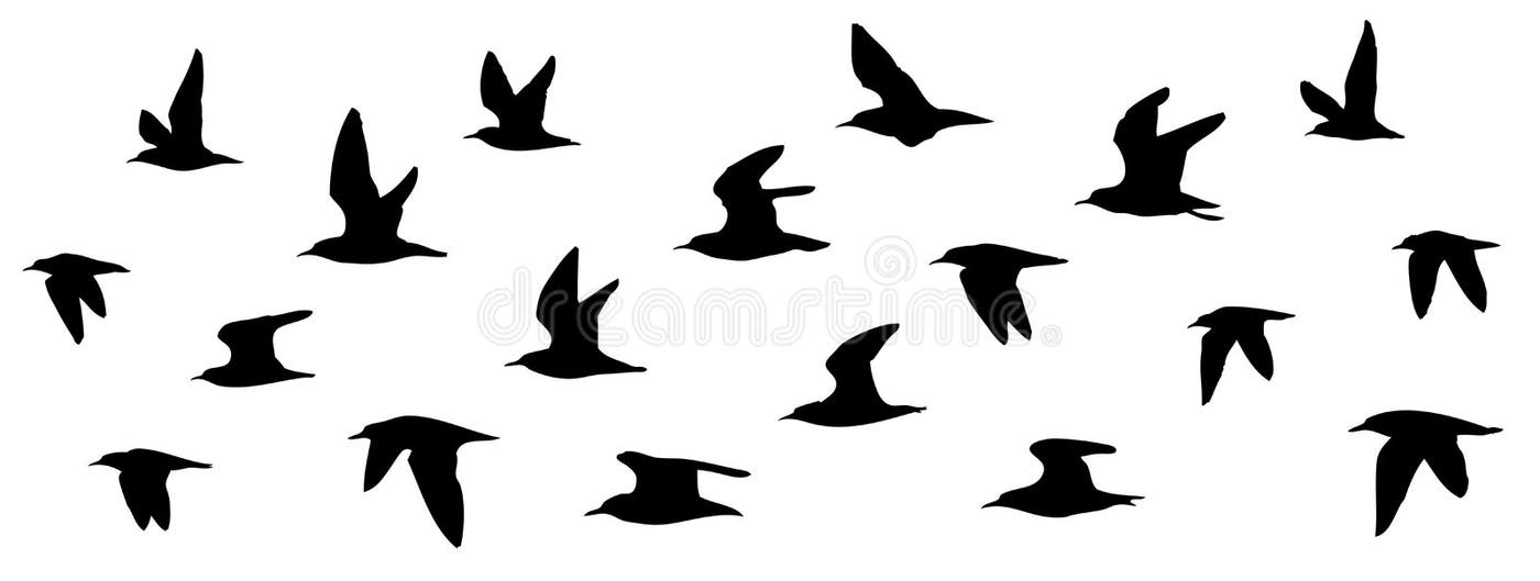 Ruff Bird Stock Illustrations – 36 Ruff Bird Stock Illustrations ...