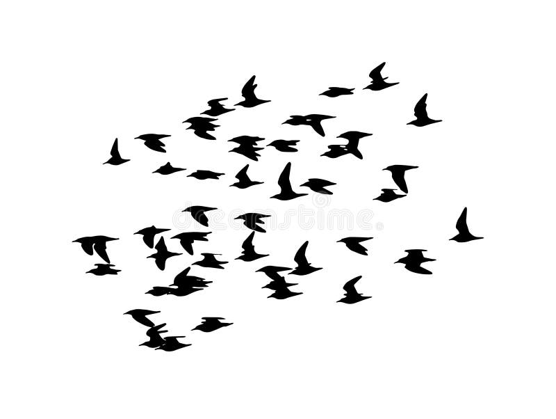 Ruff in the Flight. Vector Silhouette a Flock of Birds Stock Vector ...